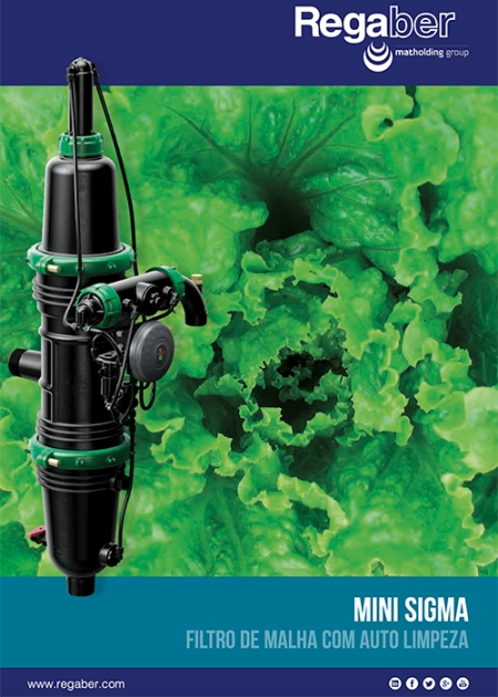 Mini Sigma - (PT) Diptych · Regaber