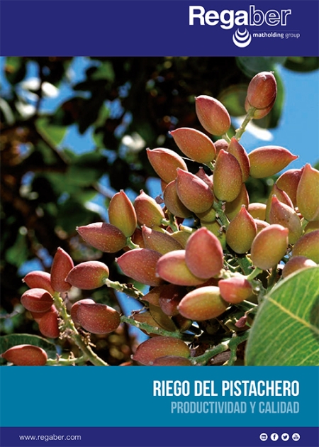 Riego del pistachero - Díptico · Regaber