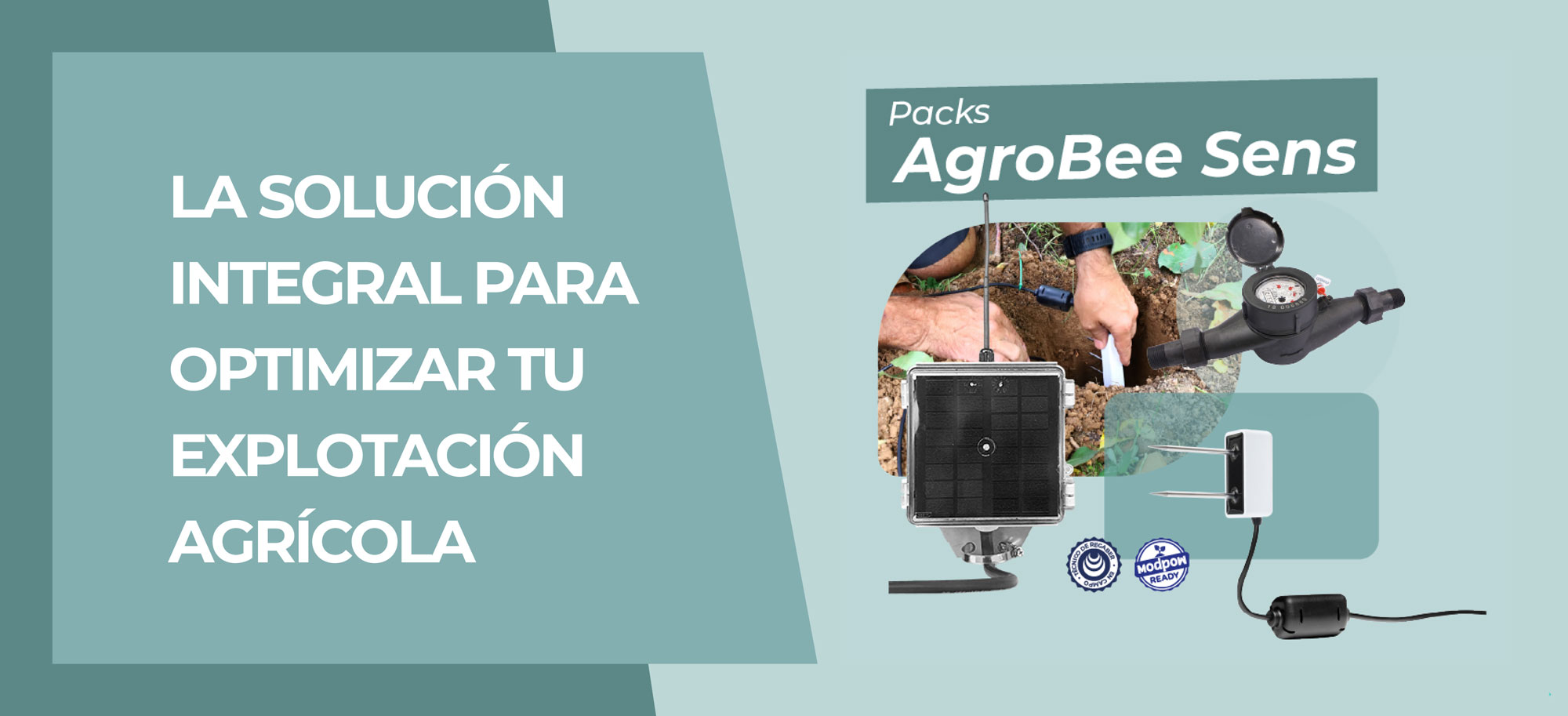 Descubre los Packs AgroBee Sens: agricultura digital con sensores de fácil instalación · Regaber
